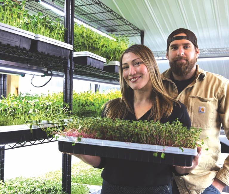 Meet the Micro Mangers | Up Here Publishing