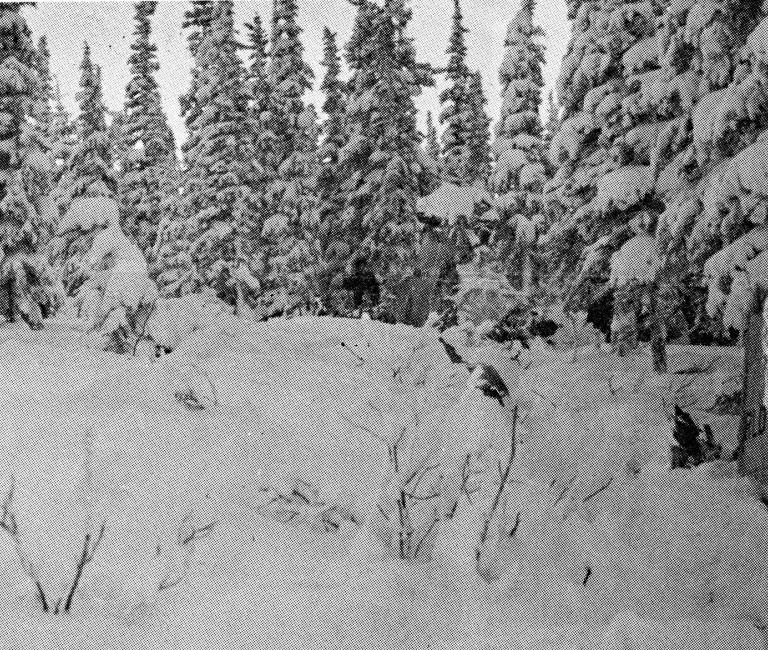 WEB EXCLUSIVE: The Marten Hartwell Story | Up Here Publishing