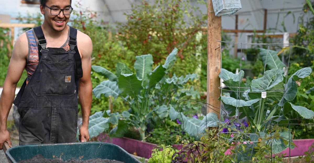 Planting Ideas | Up Here Publishing