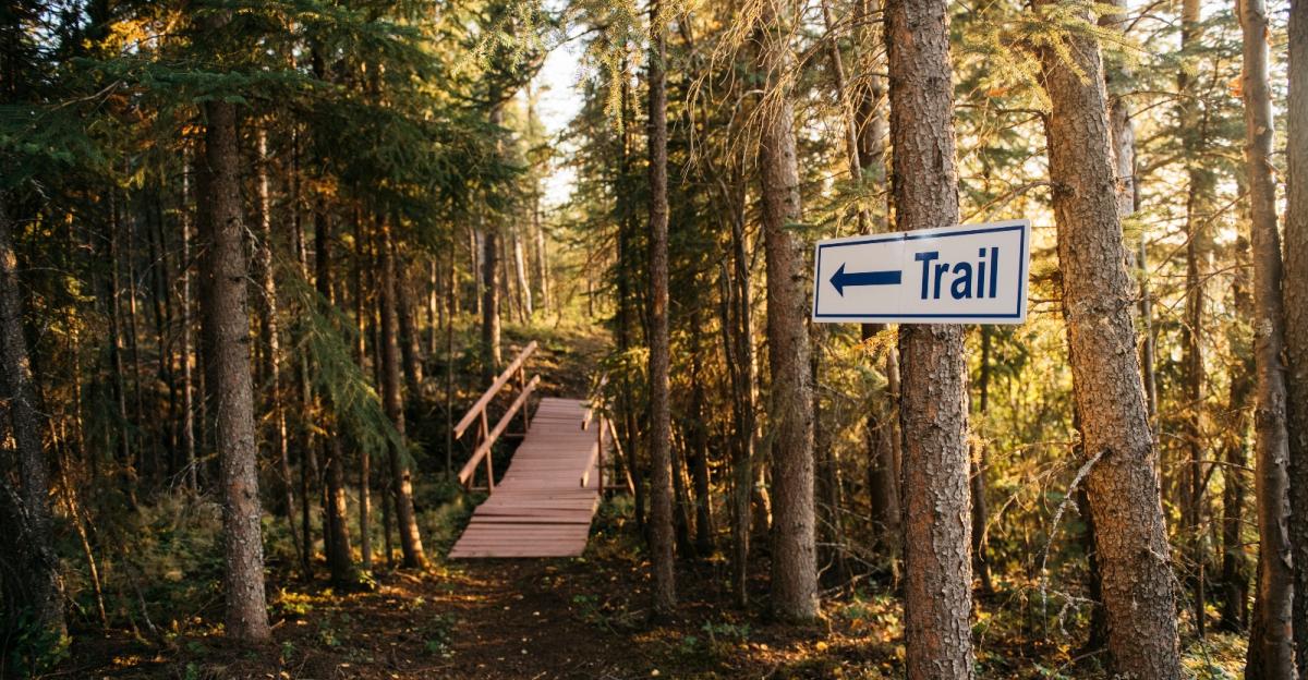 Five reasons to consider a move to Northern Canada | Up Here Publishing